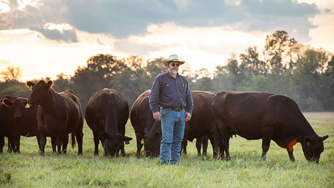 Virginia Beef Industry Council